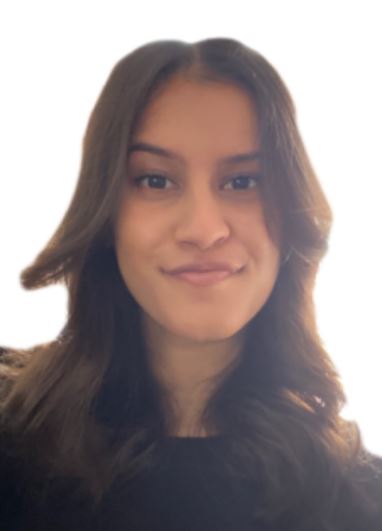 Meet The Team - Searches UK